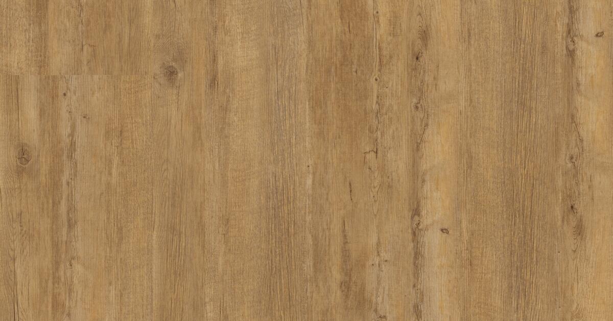 Cortica Design-Korkboden HDF - Kaukasus Fichte Korkboden zum Klicken ...